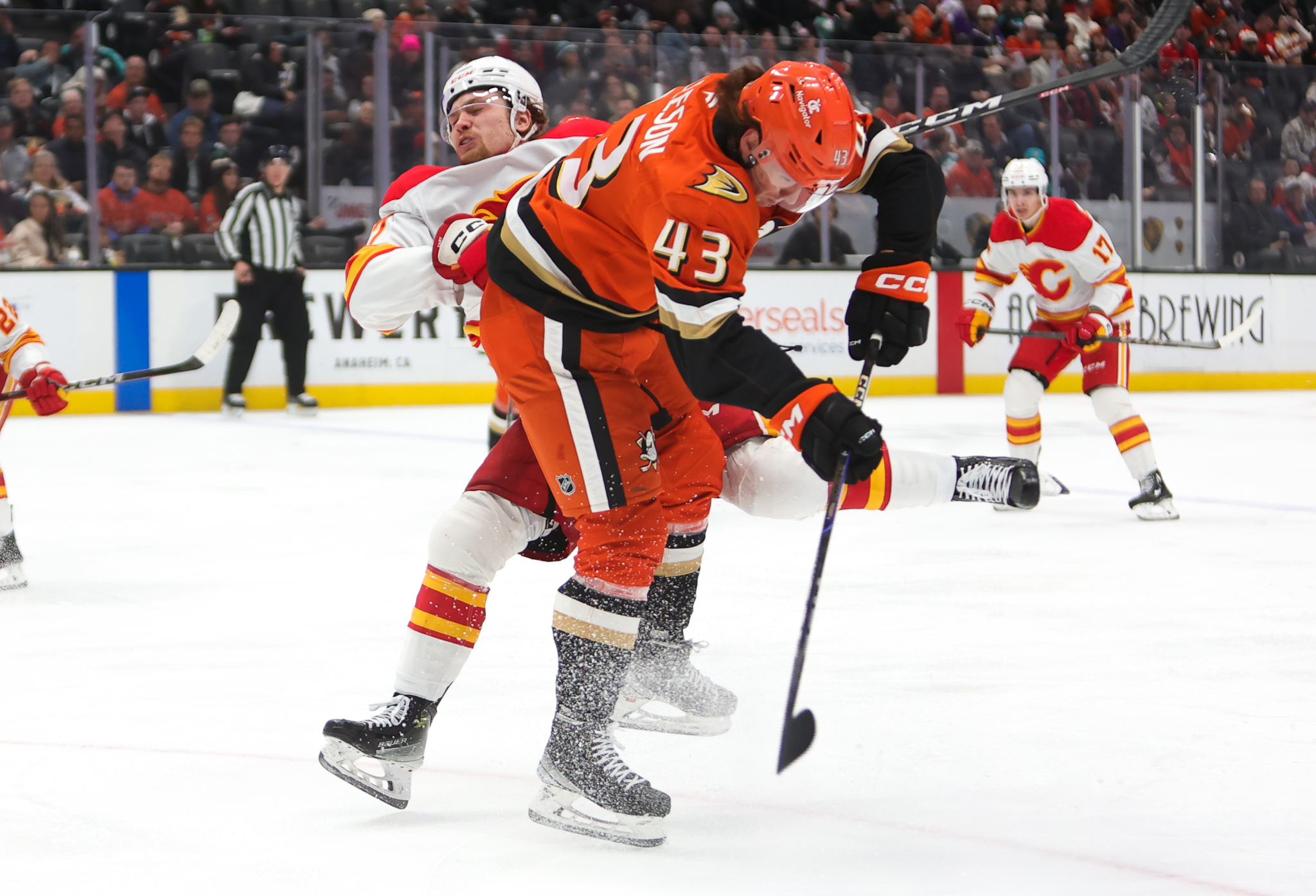 TST Images: Ducks Fall to the Flames in Overtime, 3-2